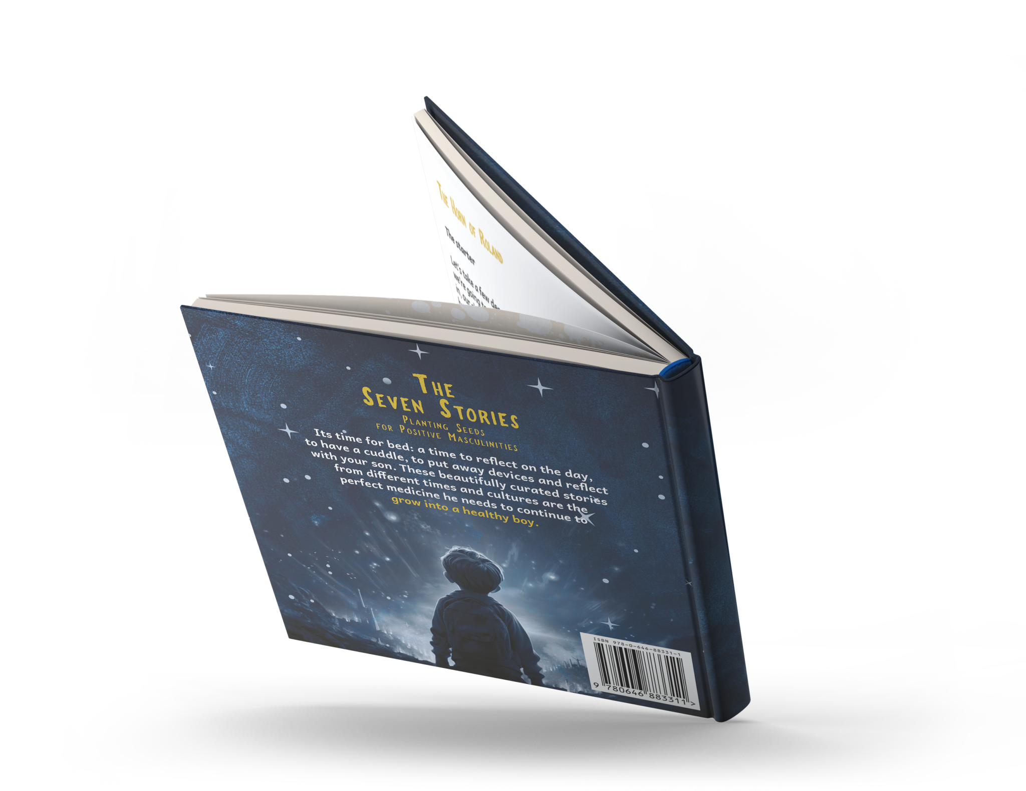 The Seven Stories - Planting seeds for Positive Masculinities | Positive Masculinity